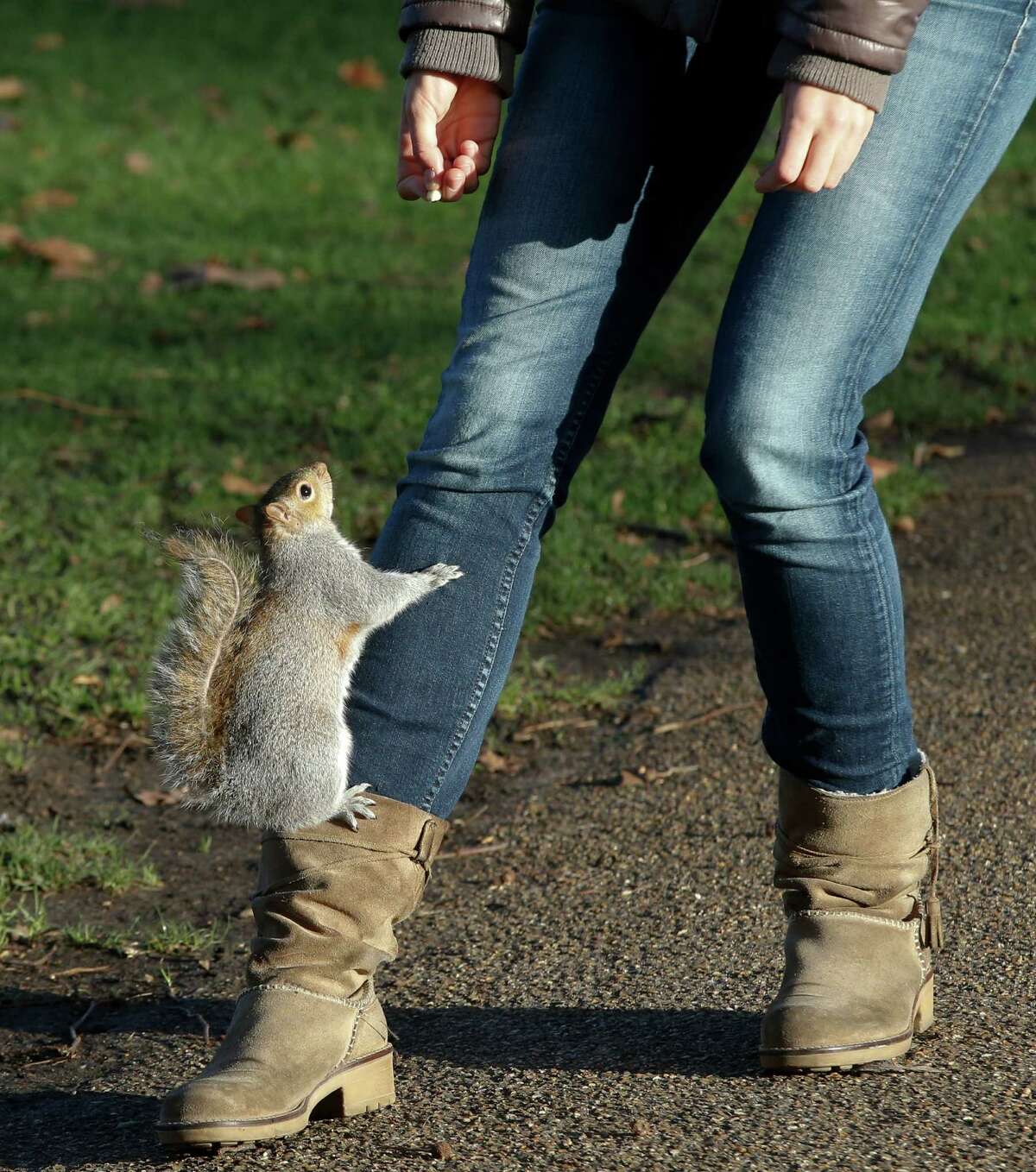 17 amusing squirrel photos for National Squirrel Day
