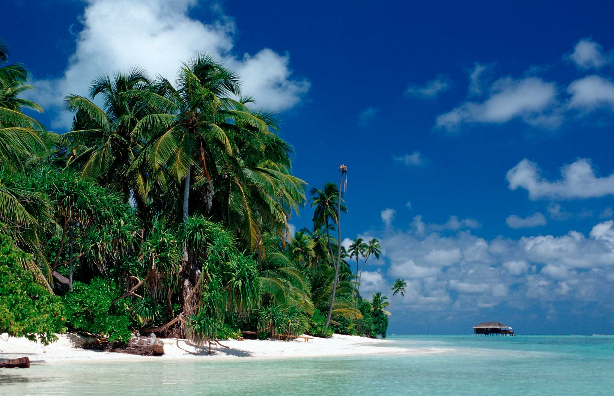 9 facts about oceans on World Oceans Day