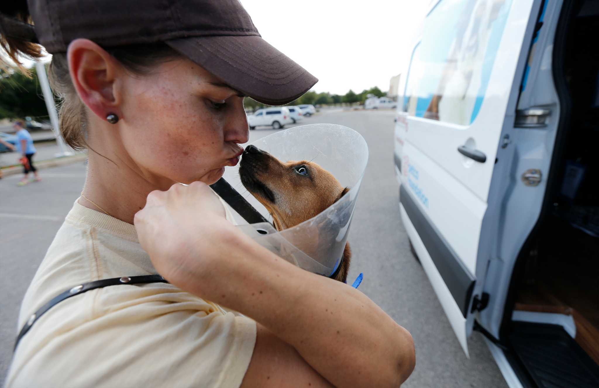 Pictures of the Year: Kin Man Hui
