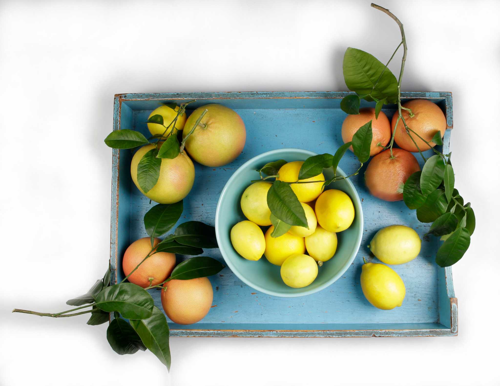 Take advantage of our region's extended citrus growing season