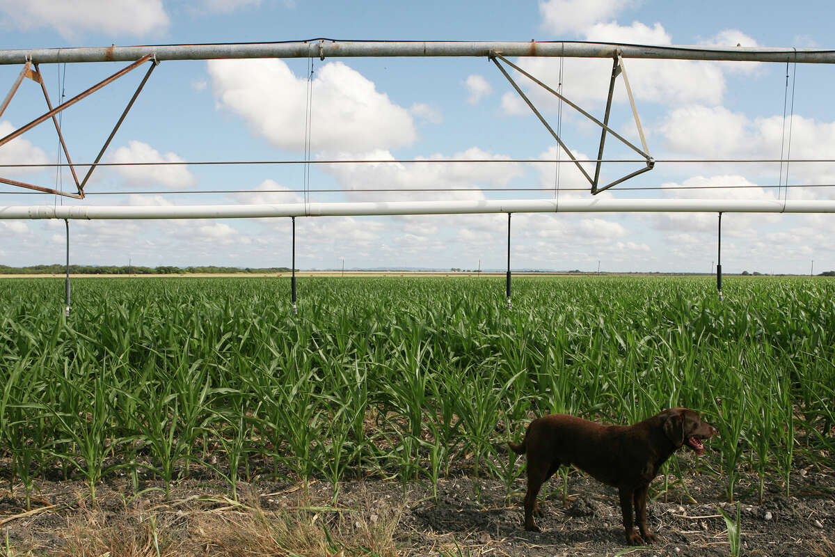 ‘Do the math’ on water, food situation