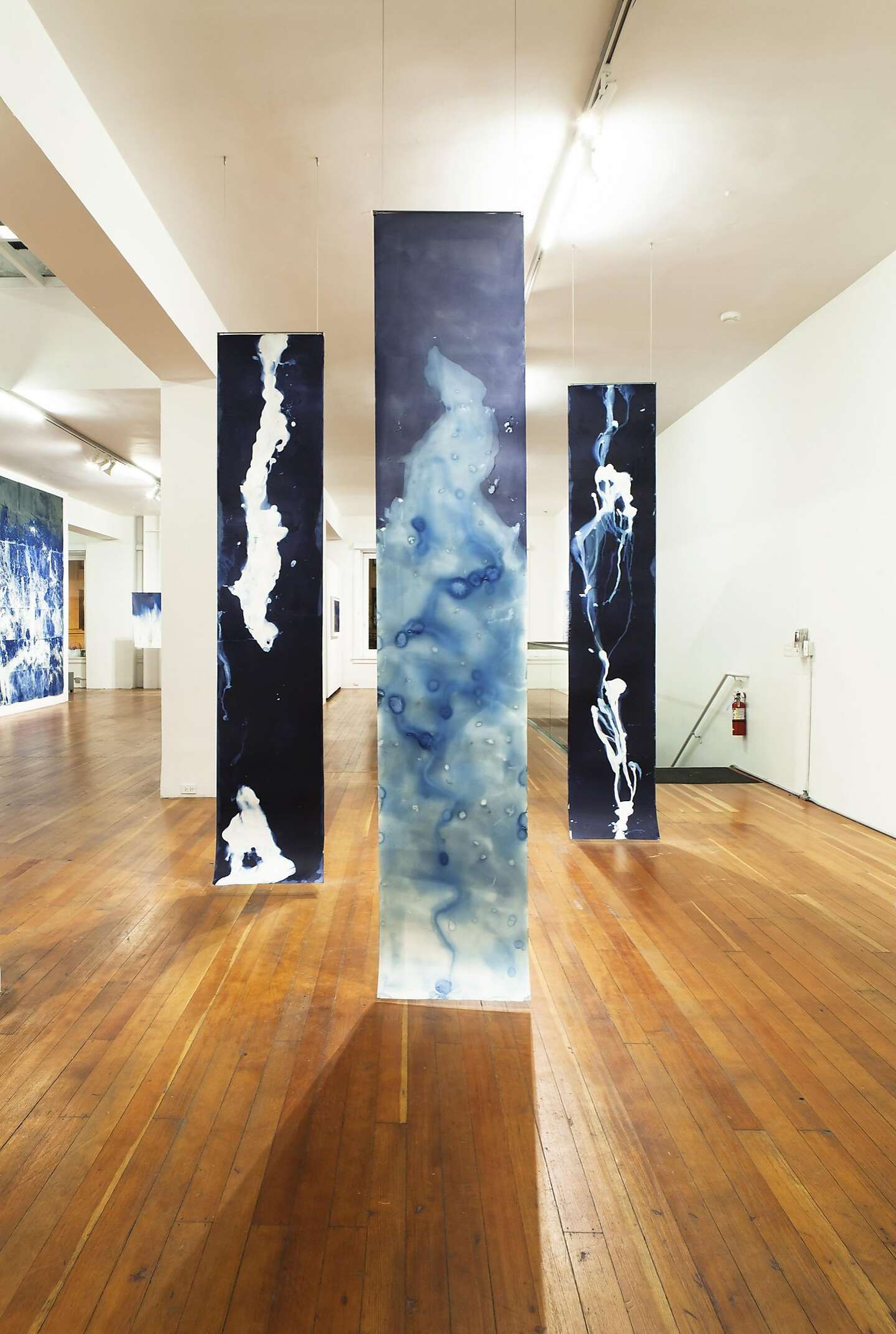 S.F. artist Meghann Riepenhoff works with waves on abstract works