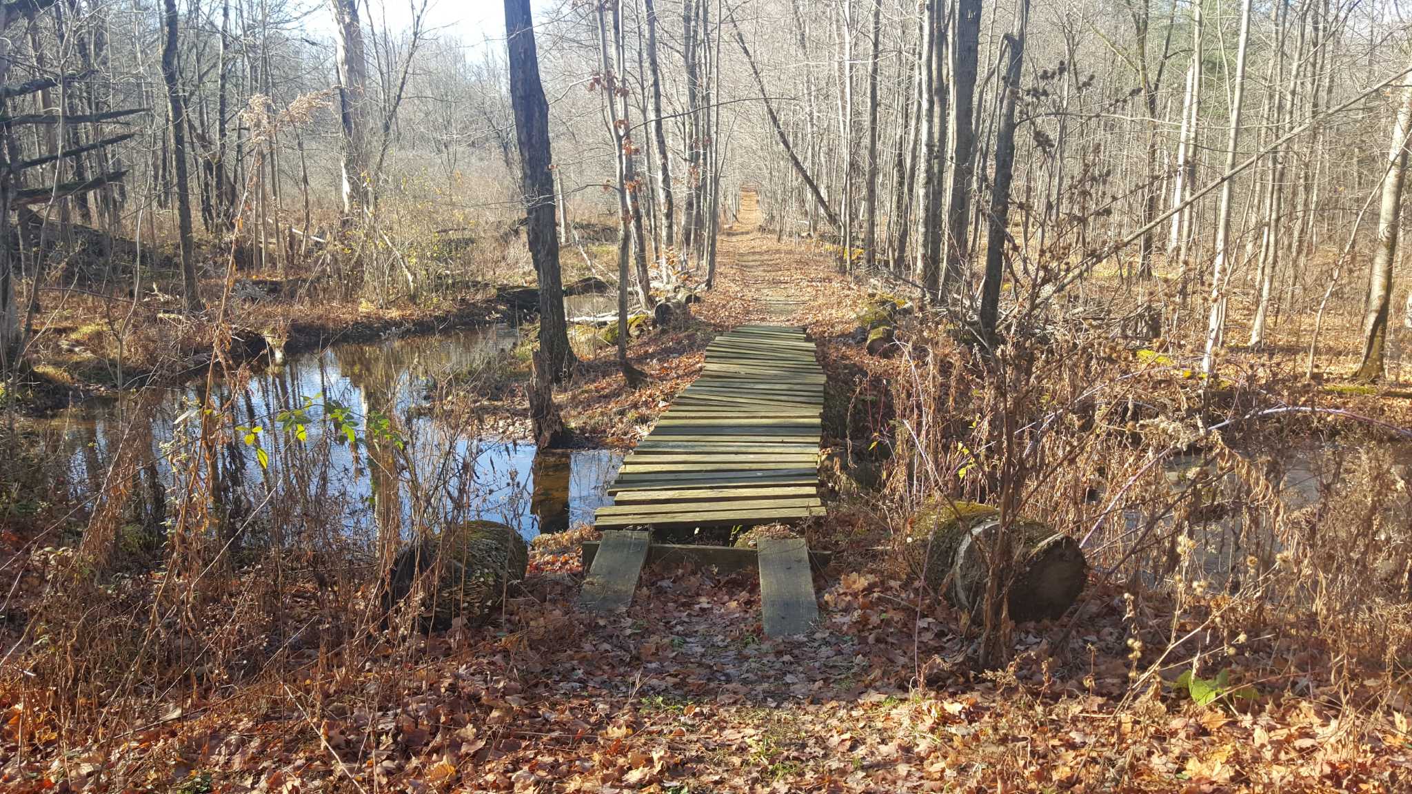 Ballston acquires 246-acre nature park