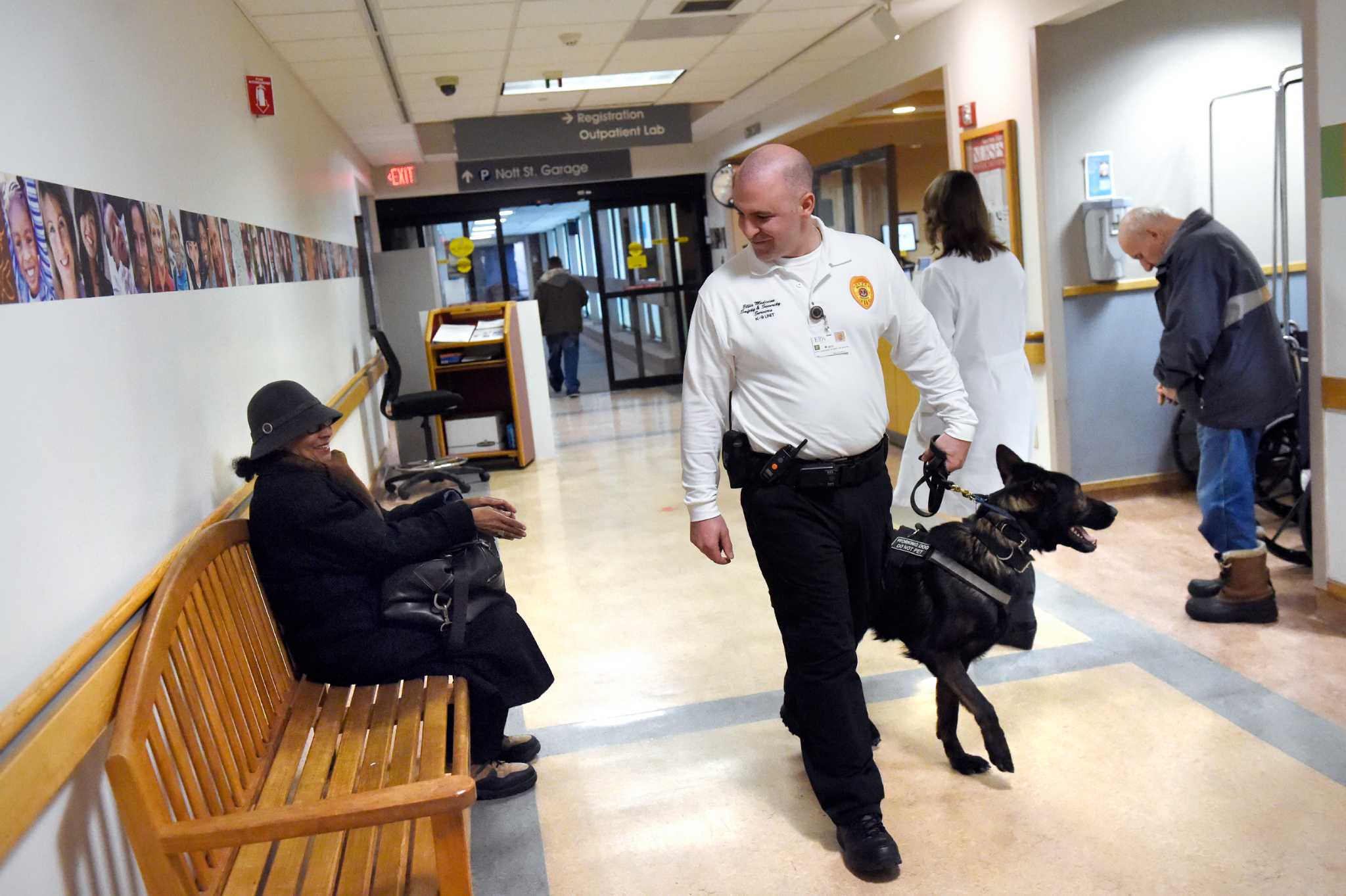 Cargo the dog keeps the peace at Ellis Hospital