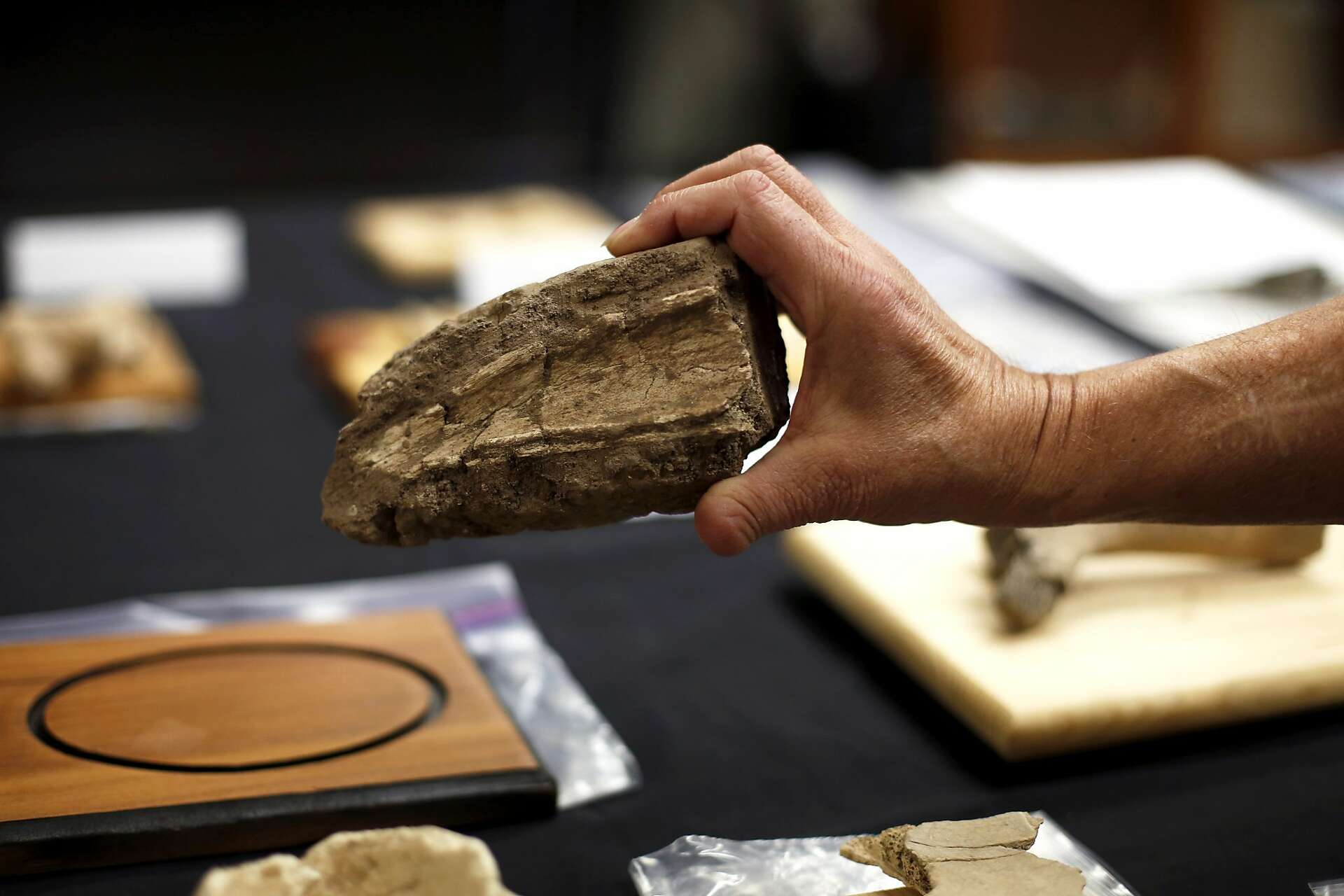 Exciting Ice Age fossil find in Fremont; exhibit to open in May