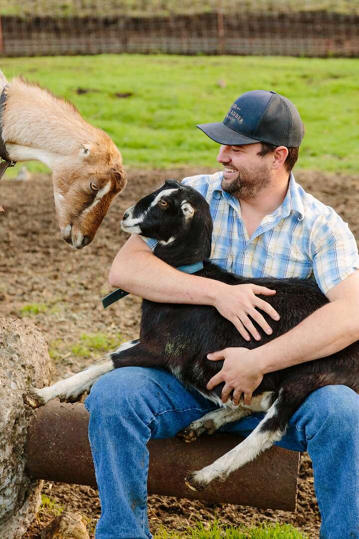 Cambria: A taste of coastal town’s charm