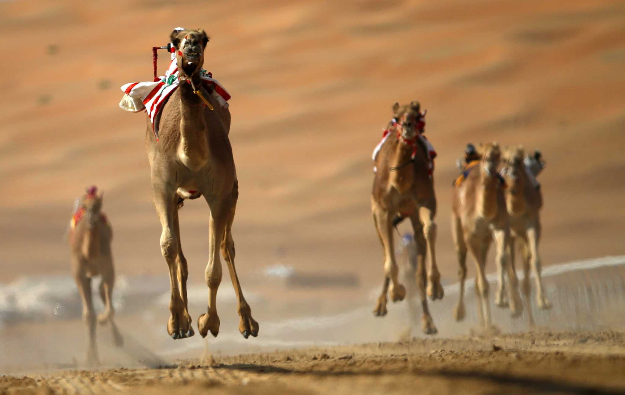 Photos: Middle East festival in the sand