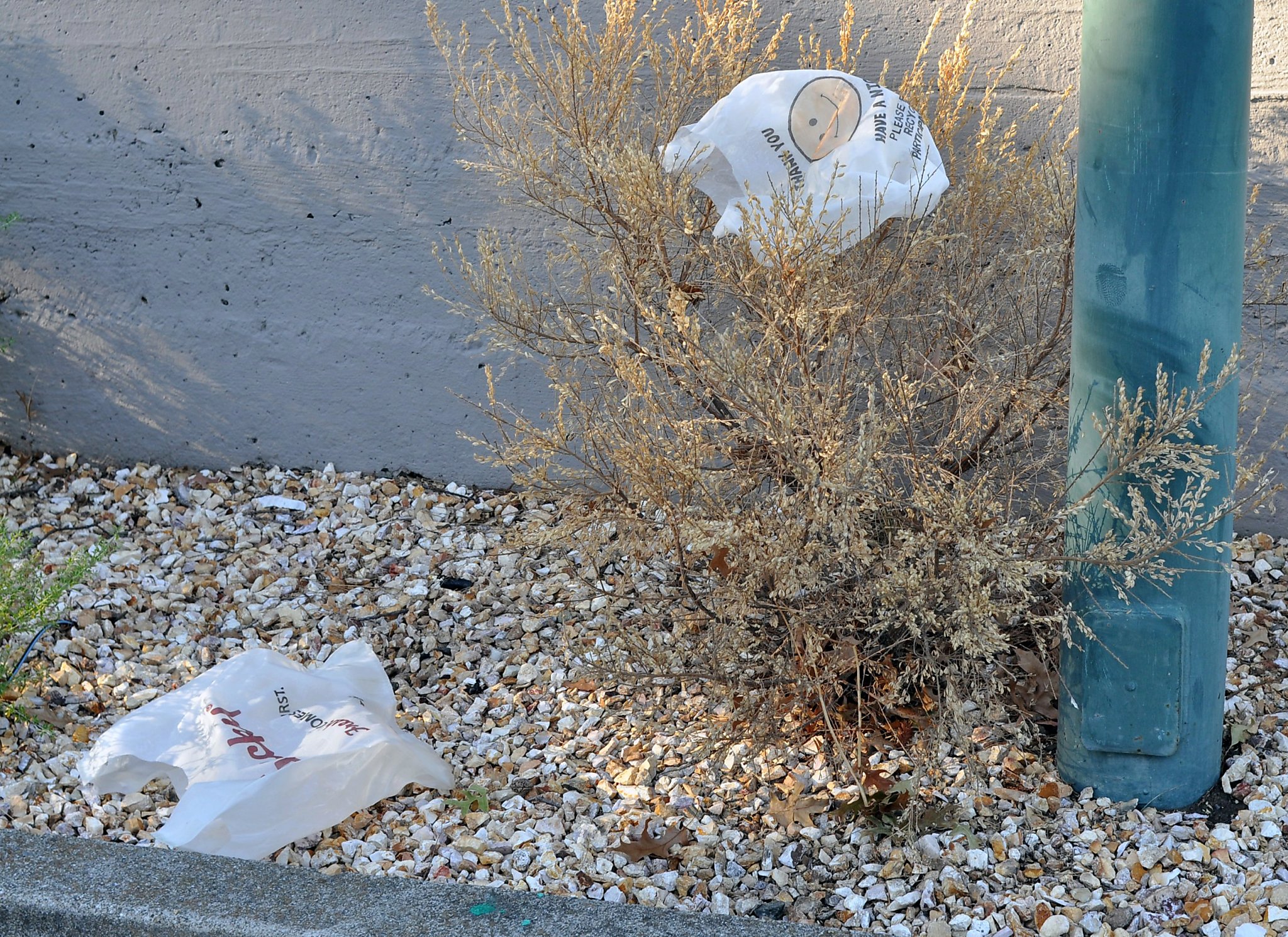 ‘Mistaken Impressions’ explores the inspiration of trash