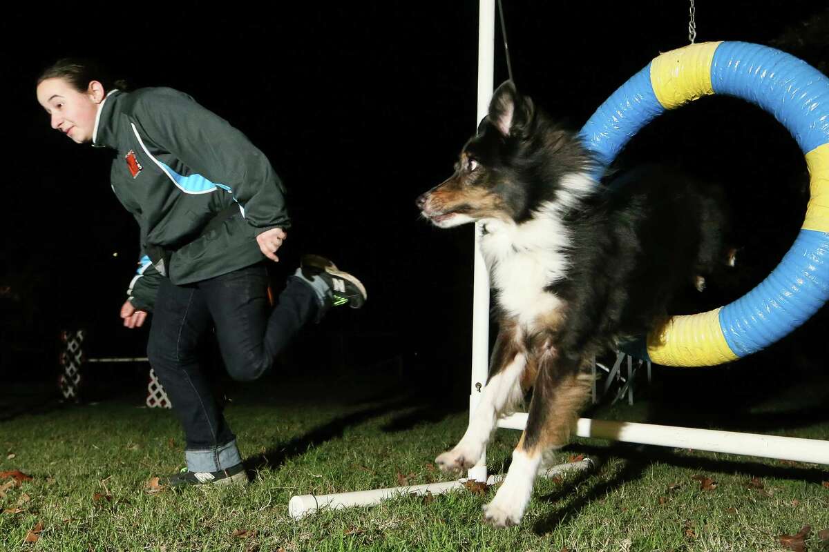 Young dog handler wins second national championship