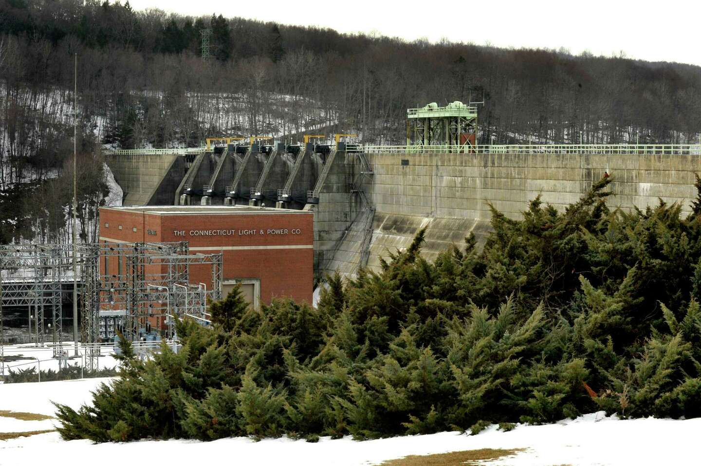 Observatory to celebrate return of the eagles