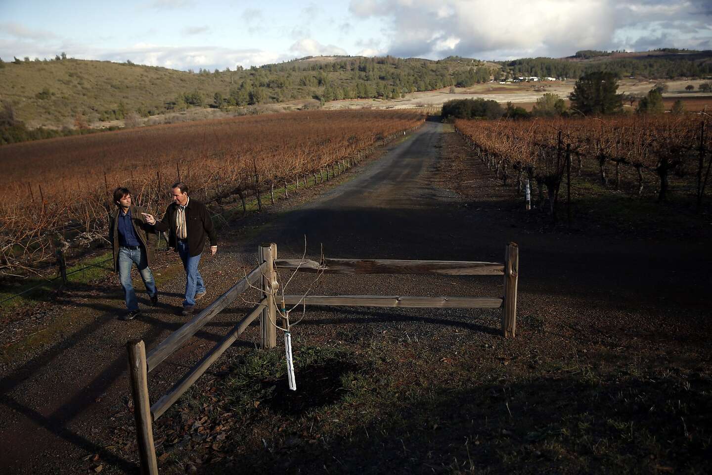 Legendary grape grower betting Lake County will be the next Wine Country