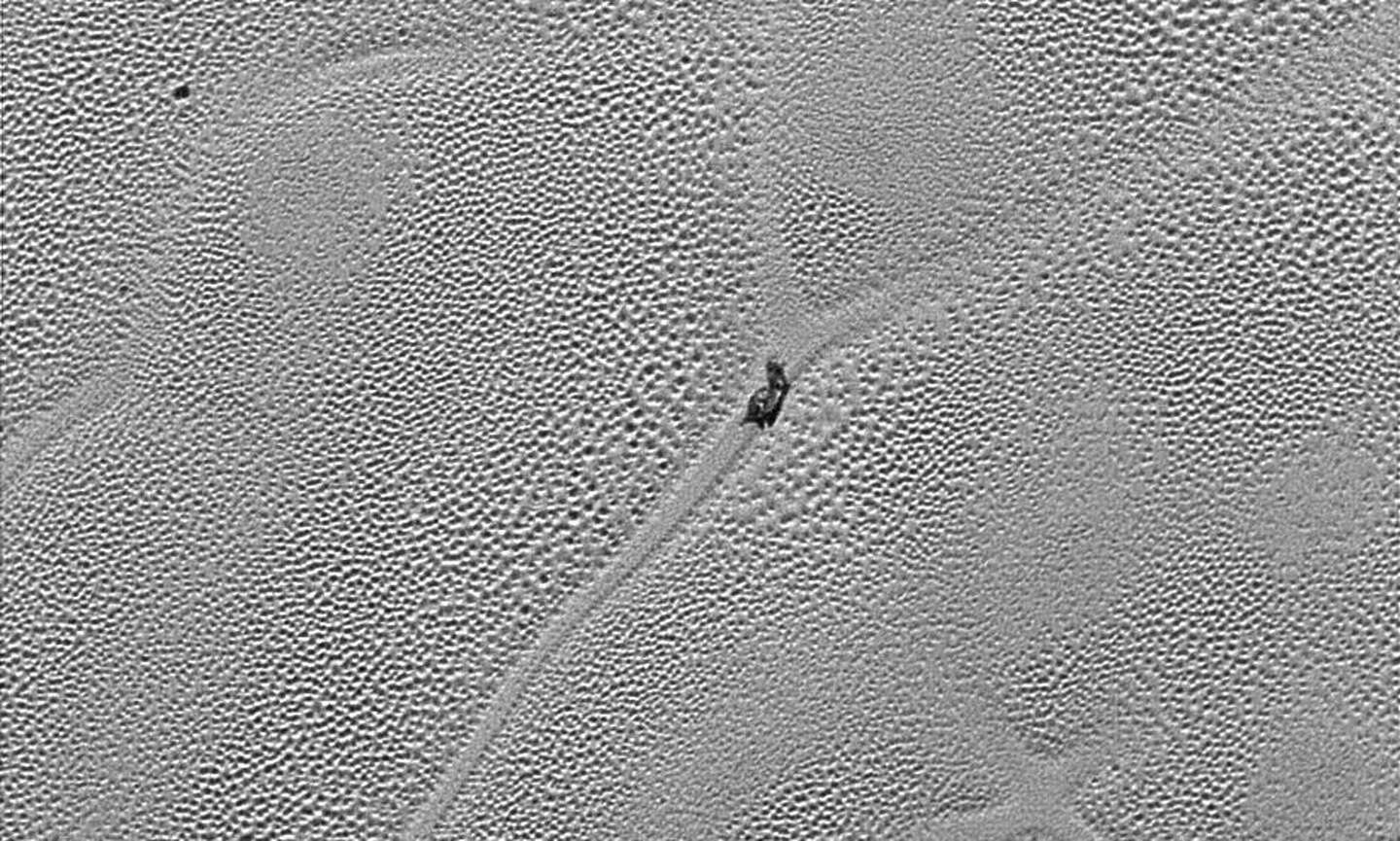 NASA pics show snail-like objects traversing Pluto