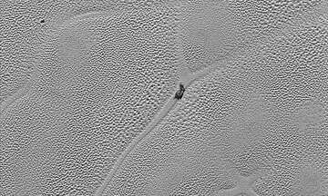 NASA pics show snail-like objects traversing Pluto