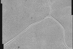NASA pics show snail-like objects traversing Pluto