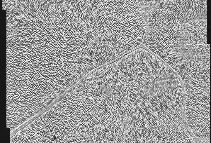 NASA pics show snail-like objects traversing Pluto