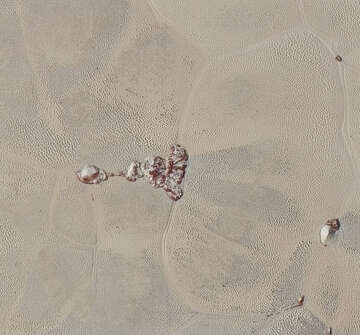 NASA pics show snail-like objects traversing Pluto