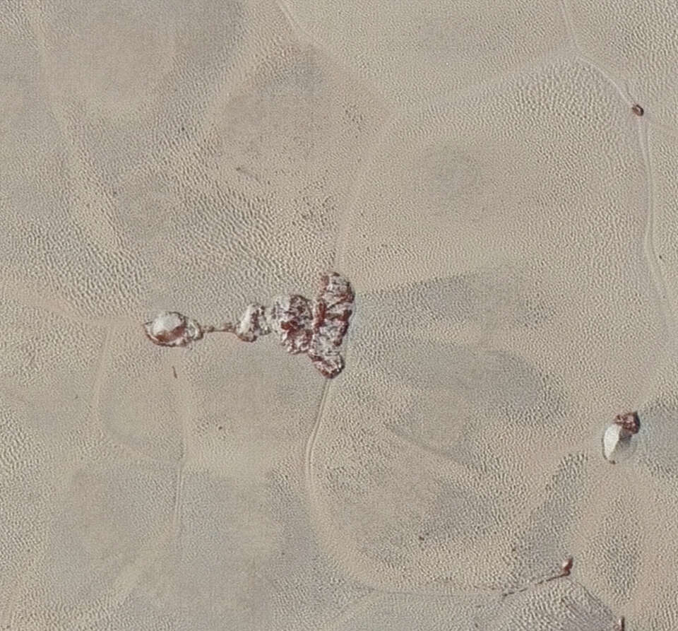 NASA pics show snail-like objects traversing Pluto