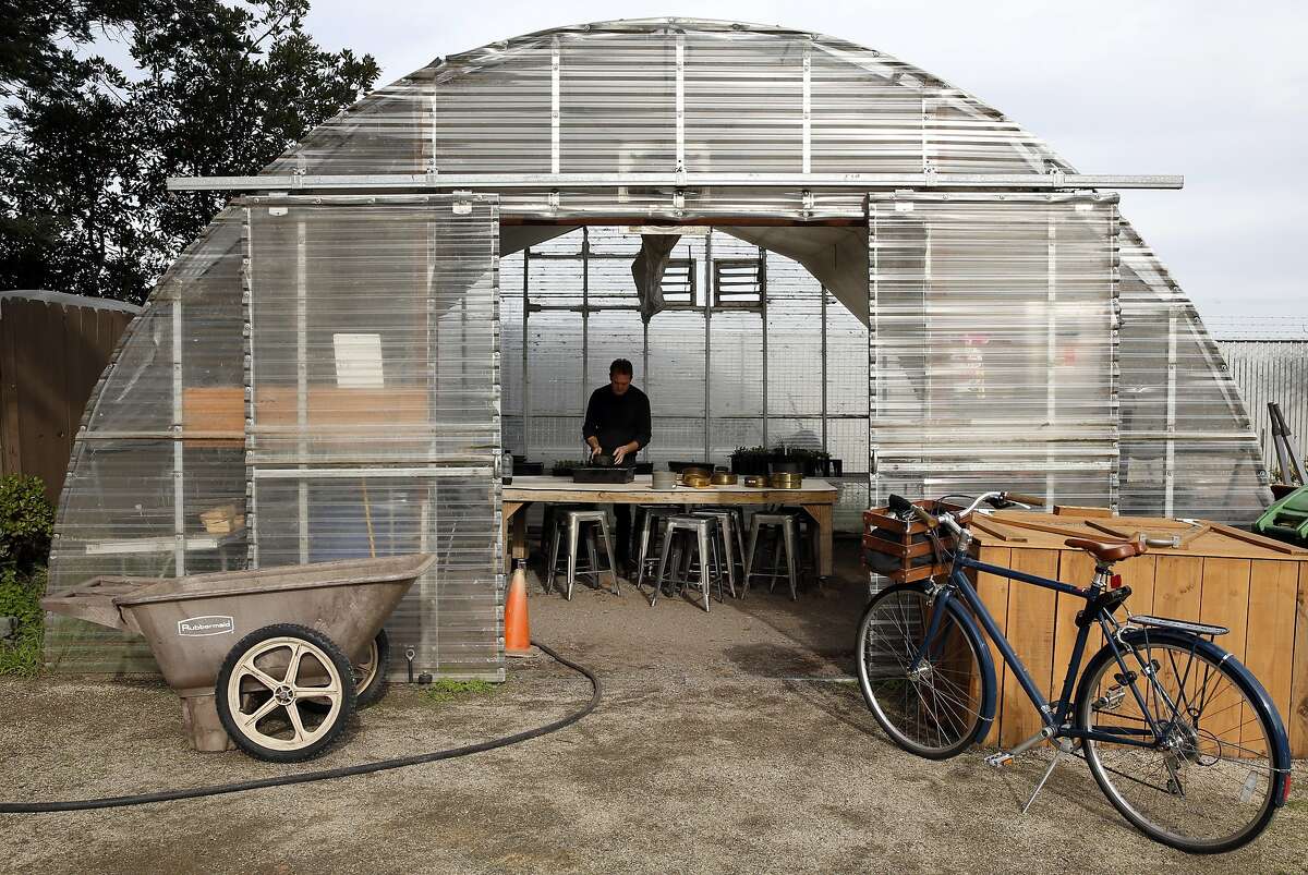 SF Plant Finder website aids growth of native plants
