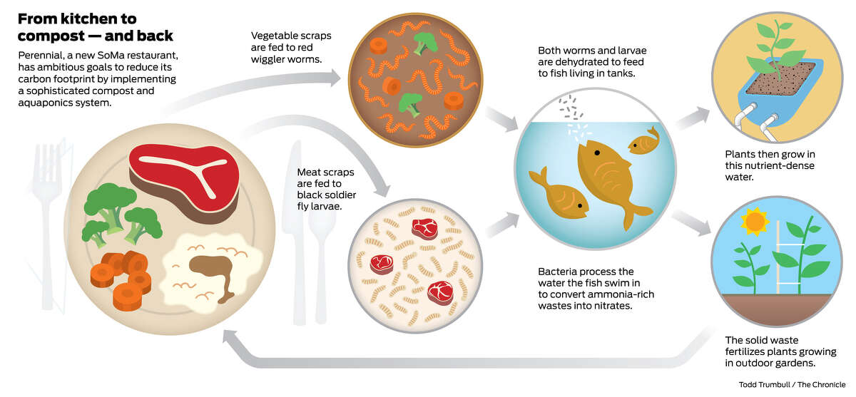 Is the Perennial the restaurant of the future?