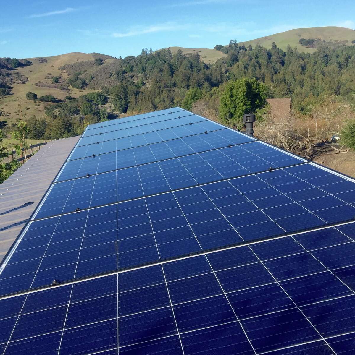 Bay Area couple finds affordable living with 162-square-foot tiny house