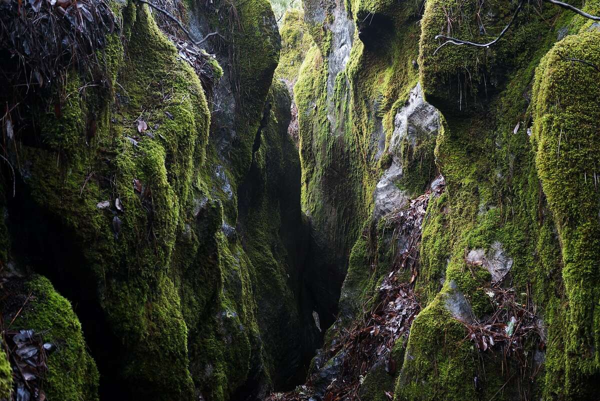 Black Chasm Cavern boasts rare formations