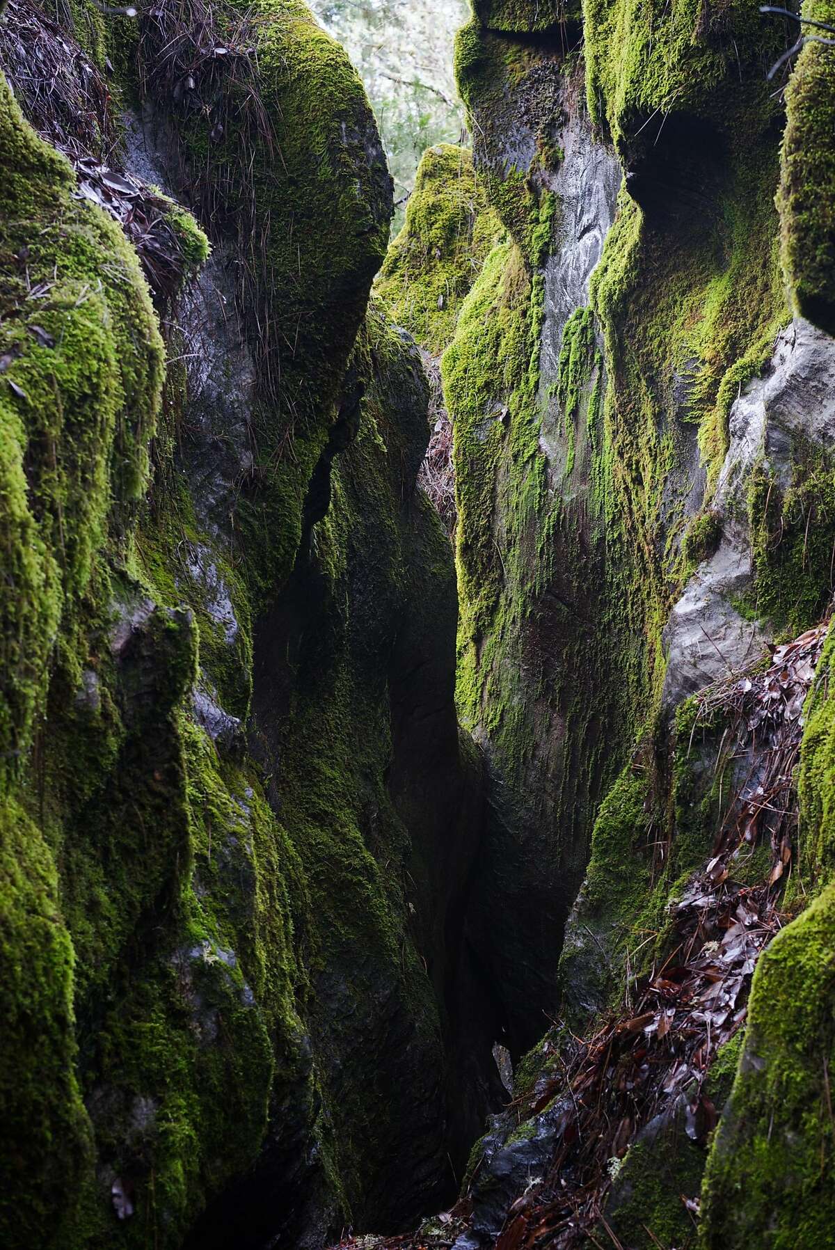 Black Chasm Cavern boasts rare formations