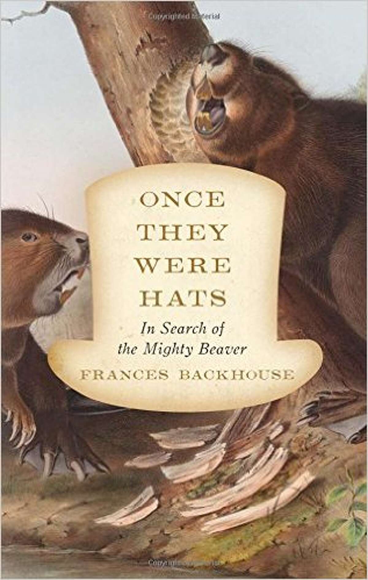 The beaver has been important in U.S. history