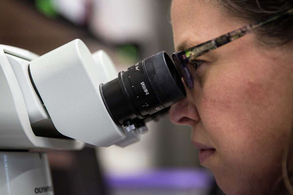 Universities dip into crowdfunding to raise money