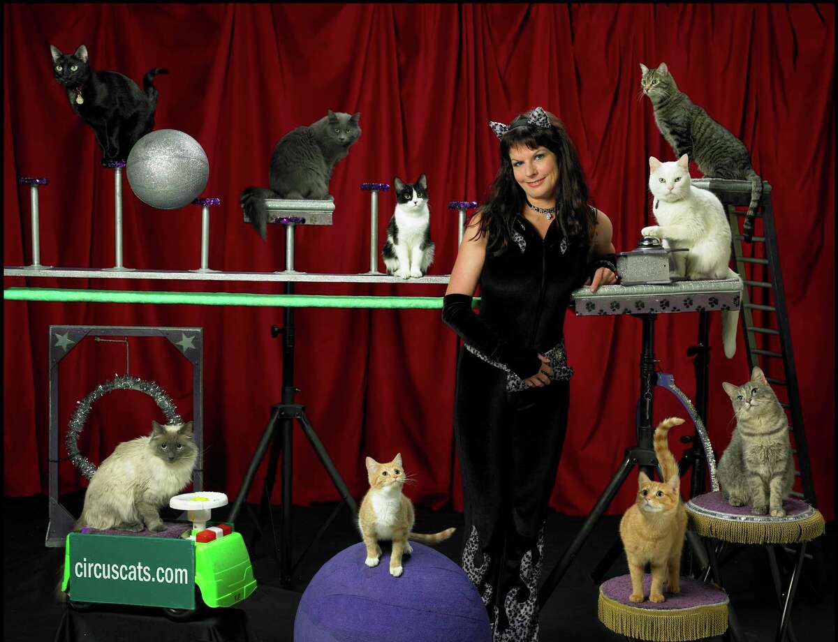 16 things to know about the Amazing Acro-cats, 'fur real'