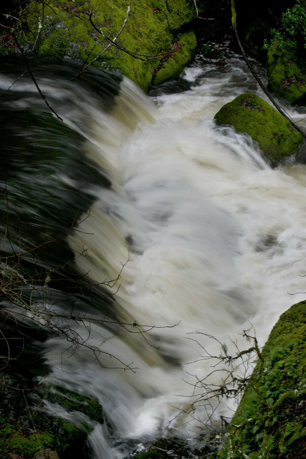 All Marin County reservoirs now filled to capacity