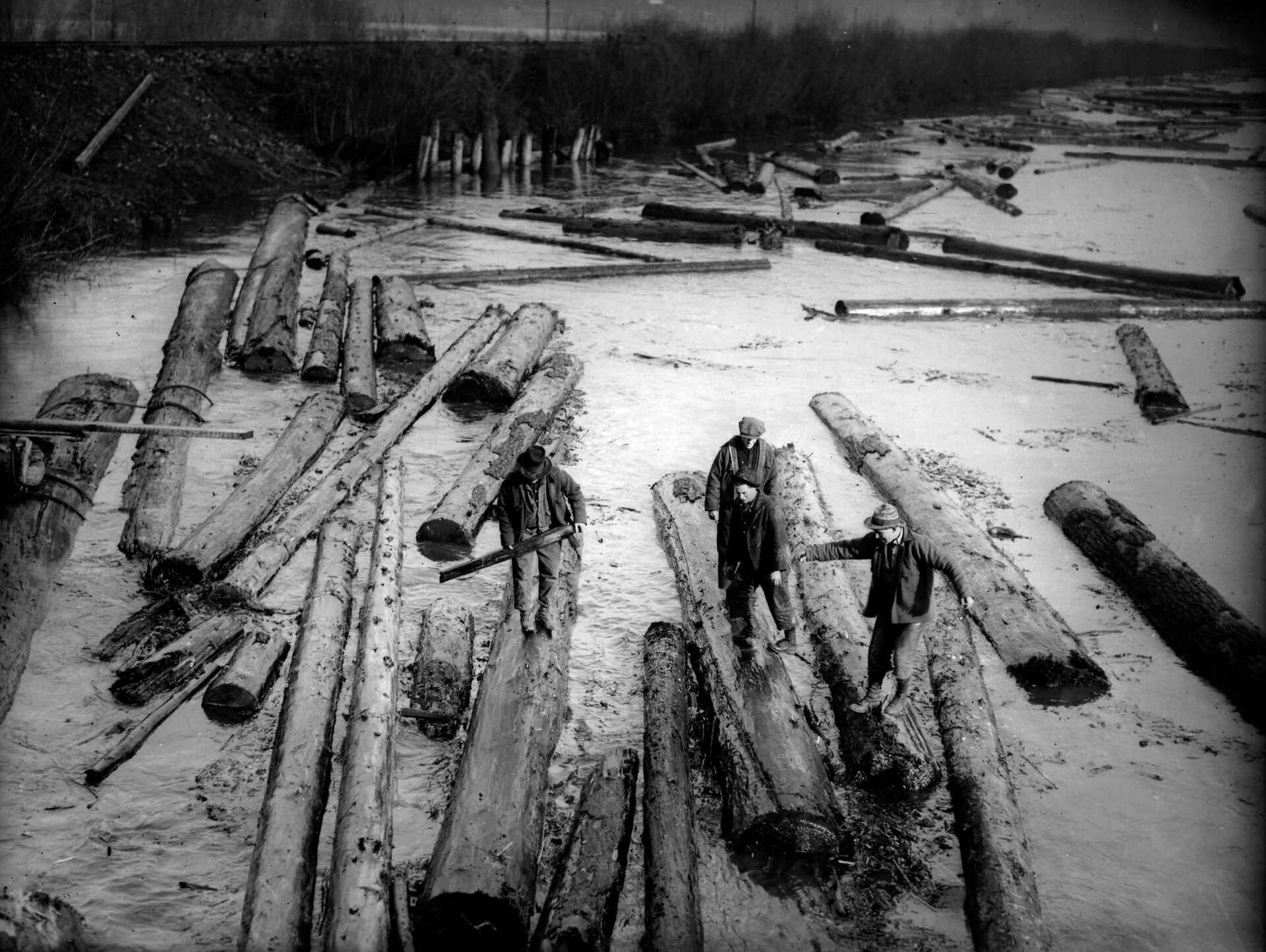 Photos: A tale of the Northwest's logging past