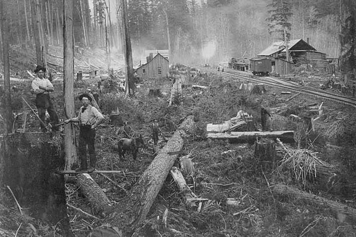 The Northwest's logging heritage