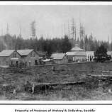 Photos: A tale of the Northwest's logging past - seattlepi.com