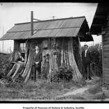 Photos: A tale of the Northwest's logging past - seattlepi.com