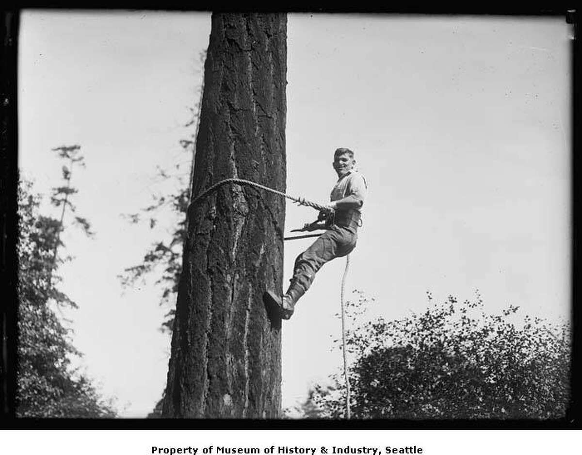 Photos: A tale of the Northwest's logging past