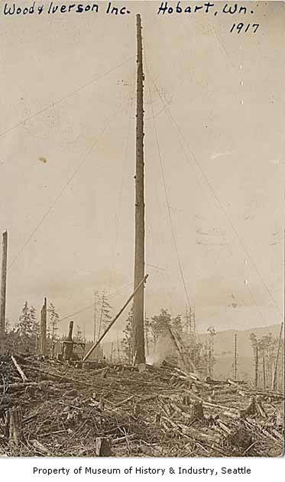 Photos: A tale of the Northwest's logging past