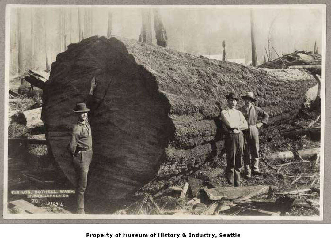 Photos: NW logging towns 127 years on