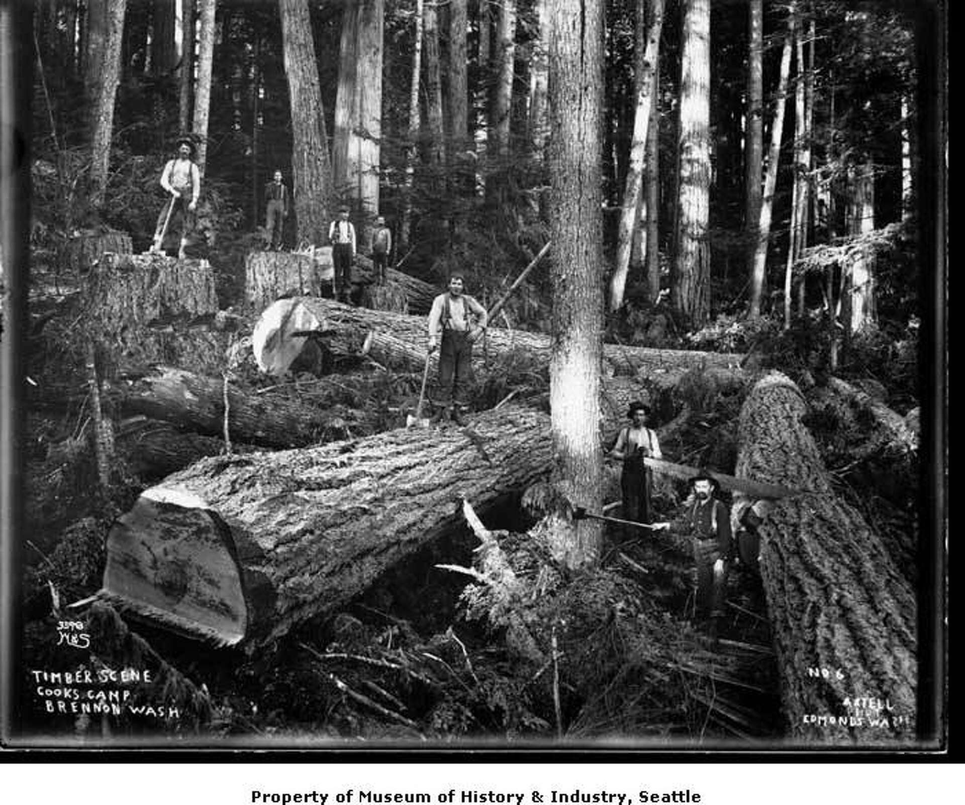 Photos: A tale of the Northwest's logging past