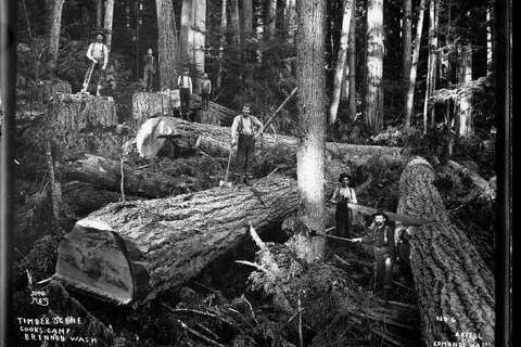 Northwest logging scenes from the early days