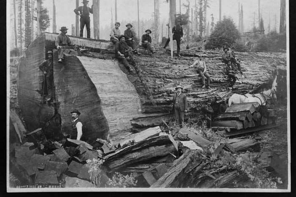 The Northwest's logging heritage