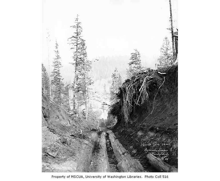 Photos: A tale of the Northwest's logging past - seattlepi.com