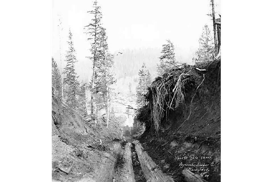 Northwest logging scenes from the early days