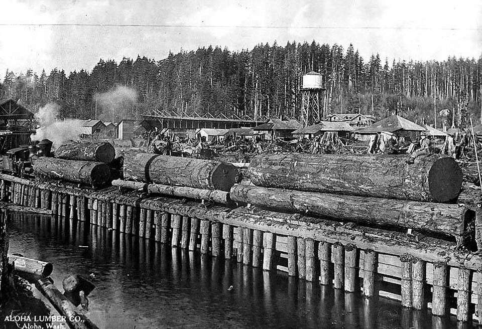 Photos: A tale of the Northwest's logging past