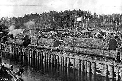 Northwest logging scenes from the early days
