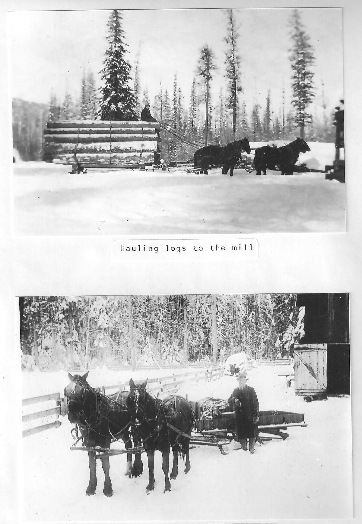 Photos: A tale of the Northwest's logging past