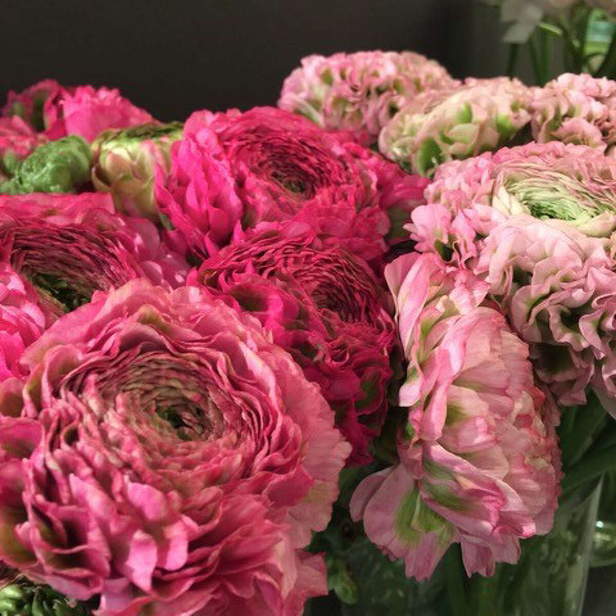 Greenwich florists have the answer to cure winter blues