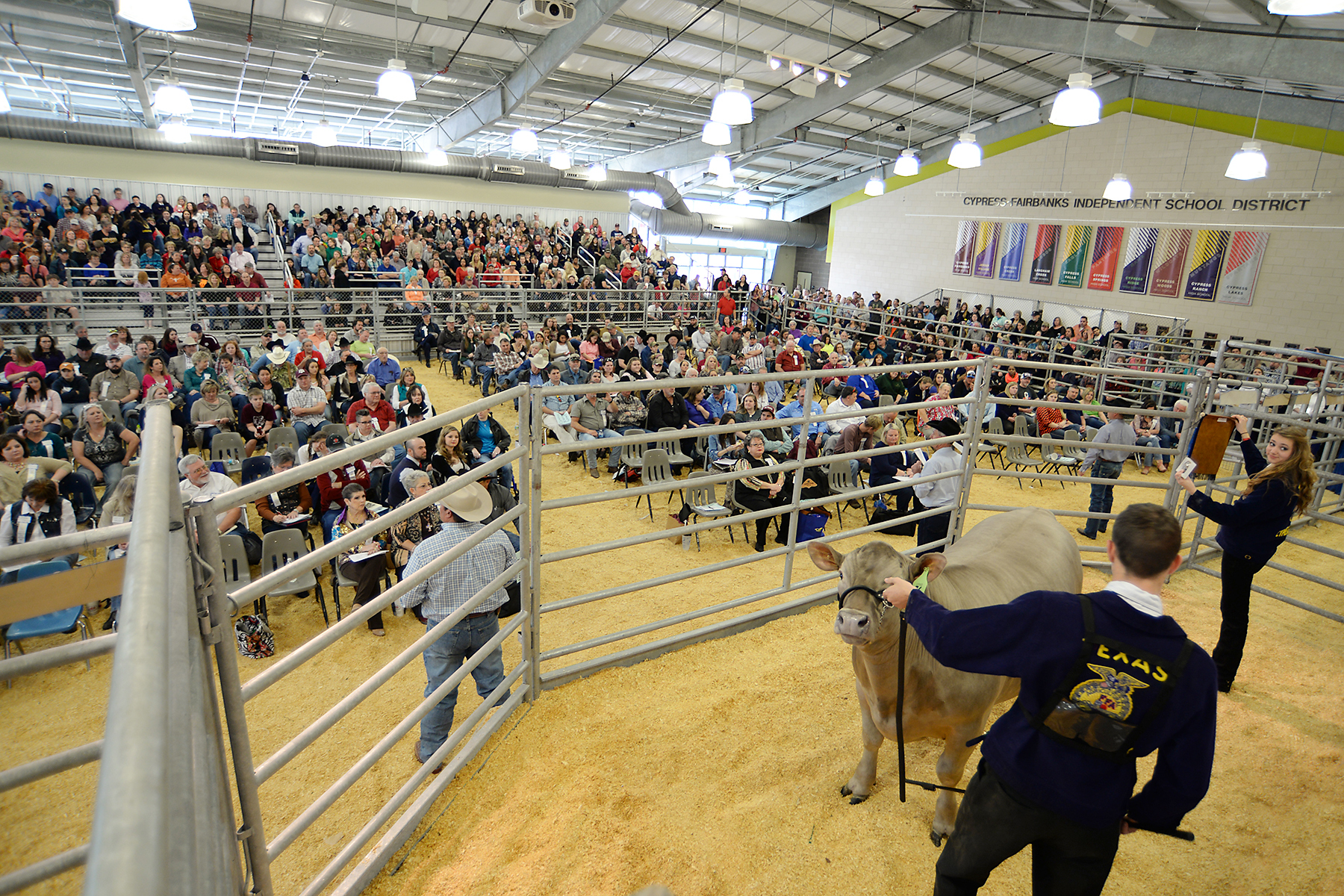 Annual Cy-Fair livestock show, sale returns Feb. 4-6