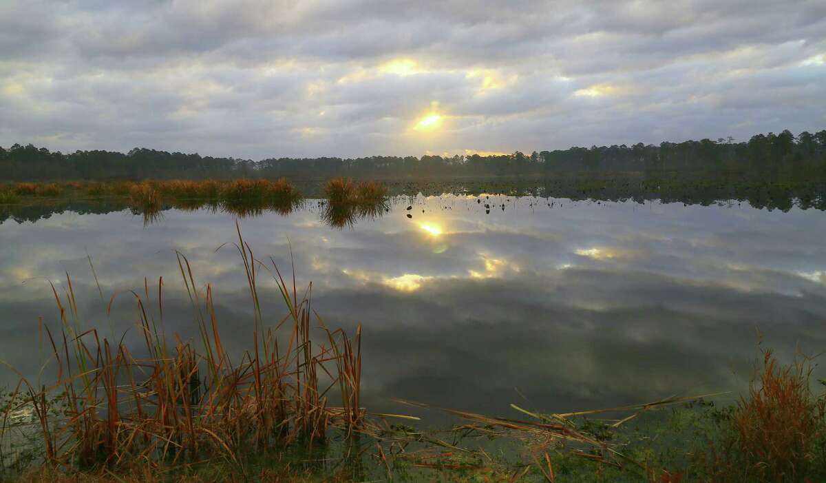Boggy Slough gift is a win for conservation