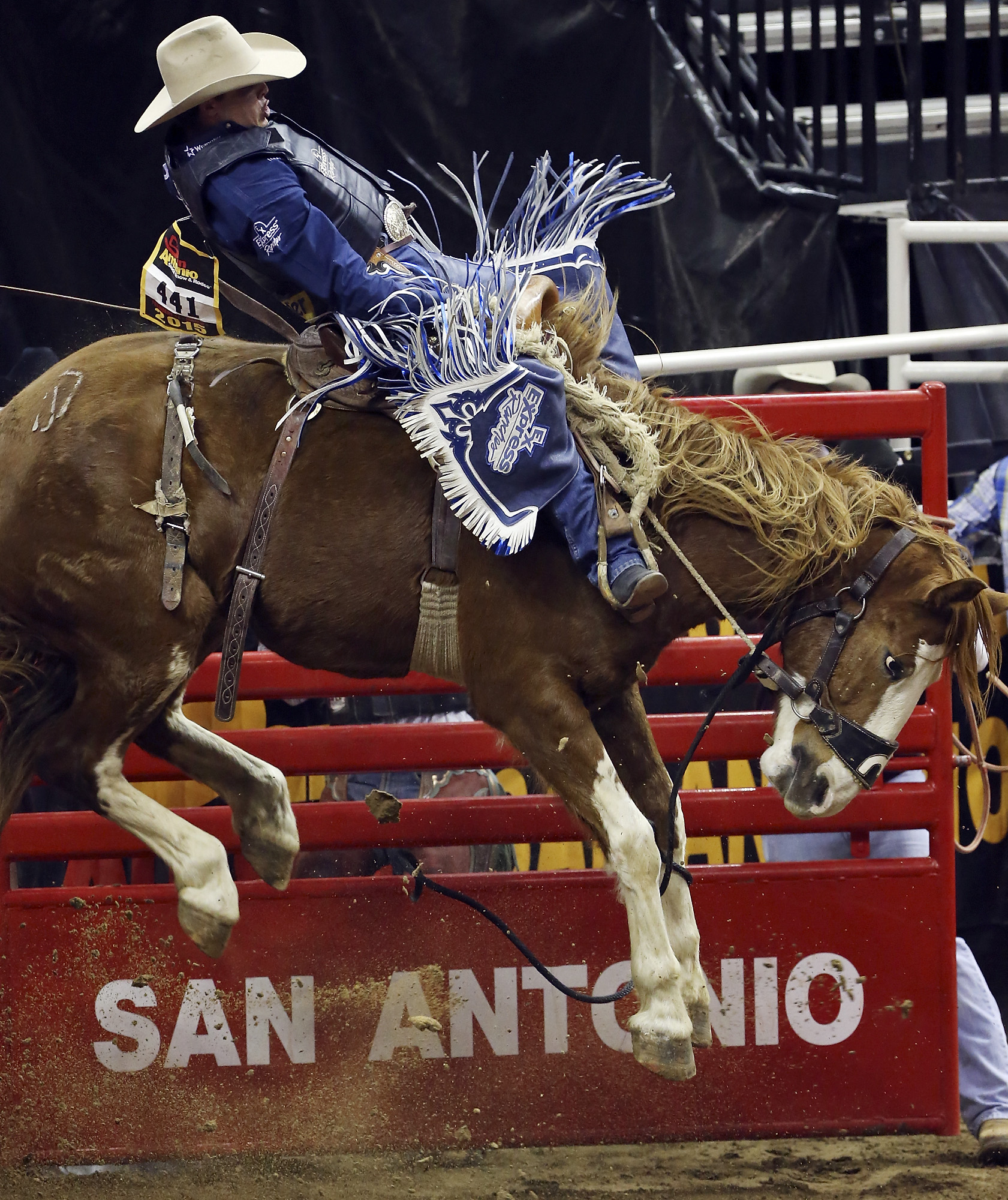 Photos capture all the excitement and emotions of the SA Stock Show & Rodeo