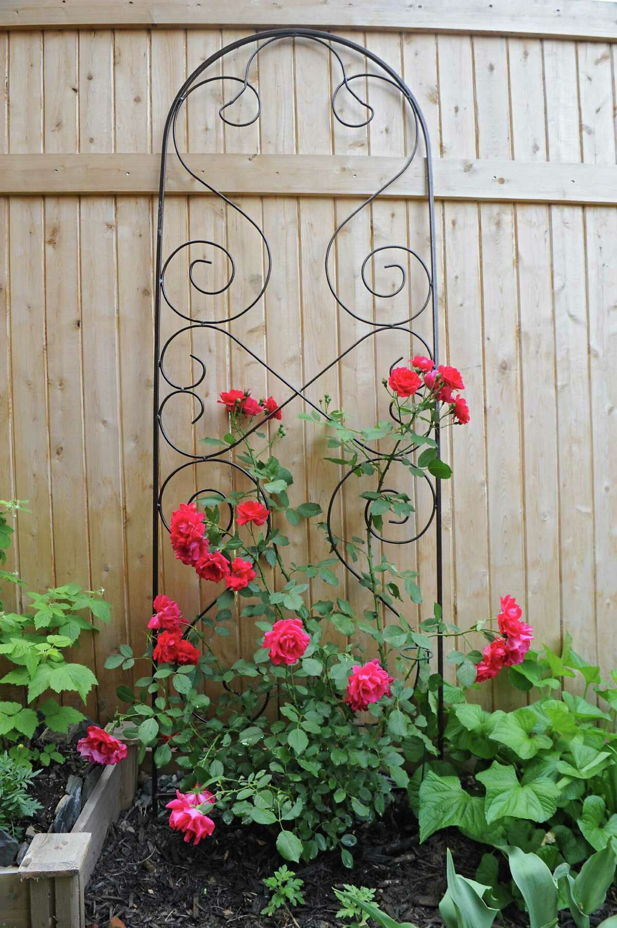 Vertical gardening maximizes space for flowers, veggies